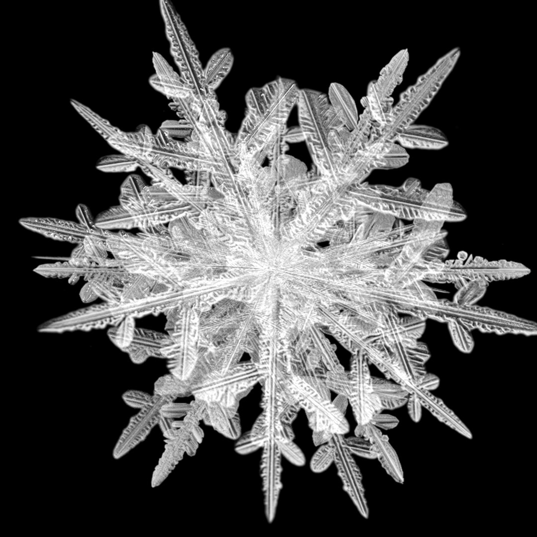 3d Cycles Snowflakes Snow Model