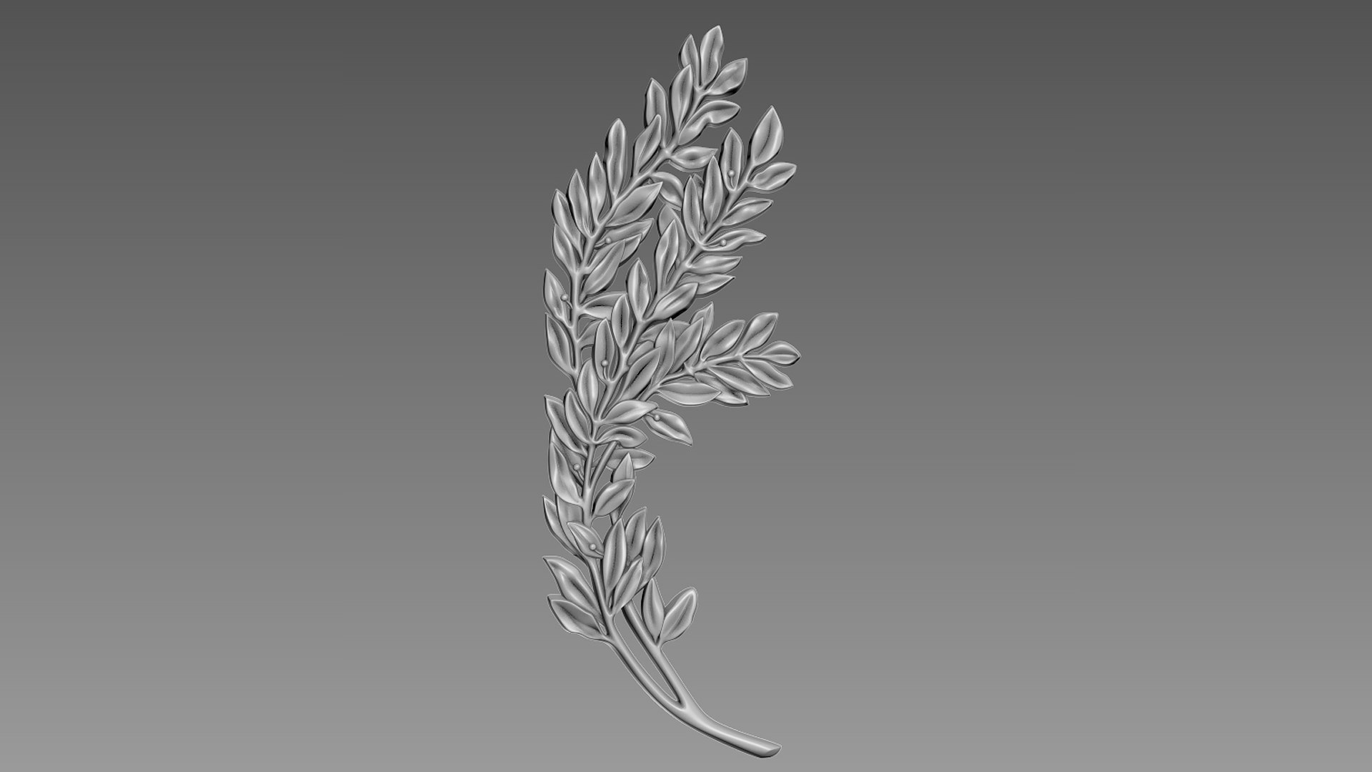 3D Olive Branches Model - TurboSquid 2105602
