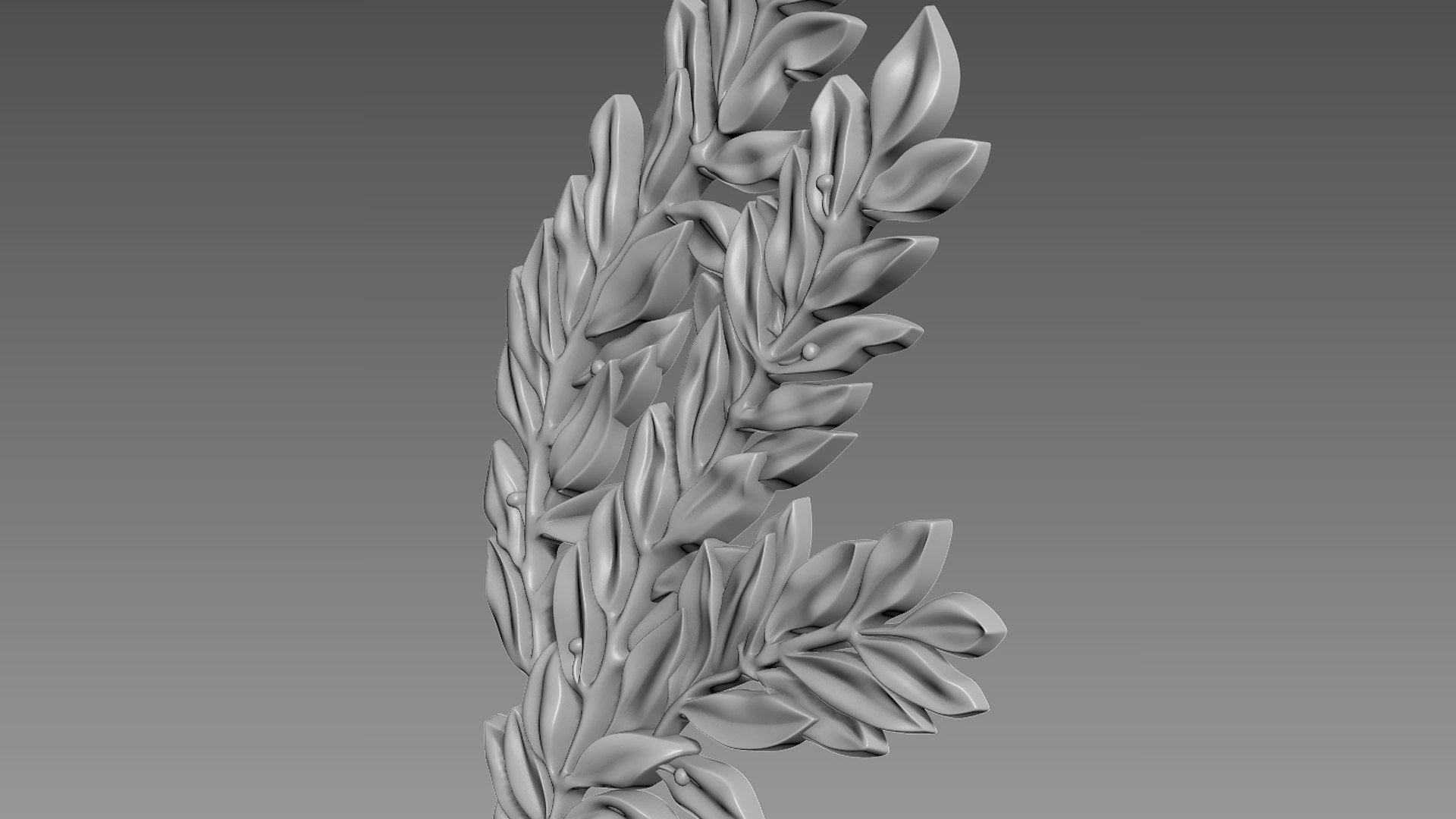 3D Olive Branches Model - TurboSquid 2105602