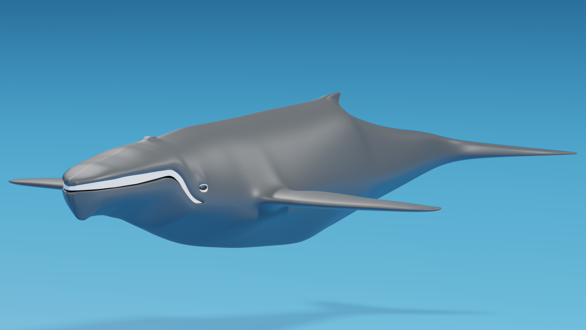 3D Cartoon Whale Model - TurboSquid 2271675