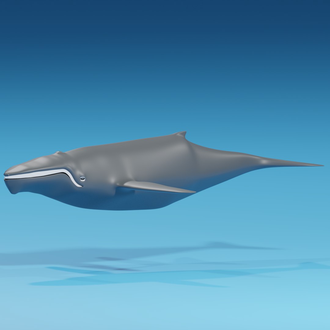 3D Cartoon Whale Model - TurboSquid 2271675