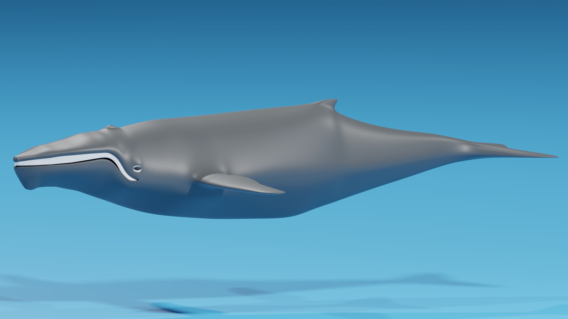 3D Cartoon Whale Model - TurboSquid 2271675