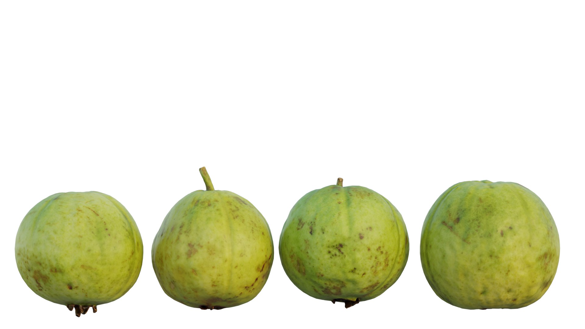 Guava 04 3D Model - TurboSquid 1925532