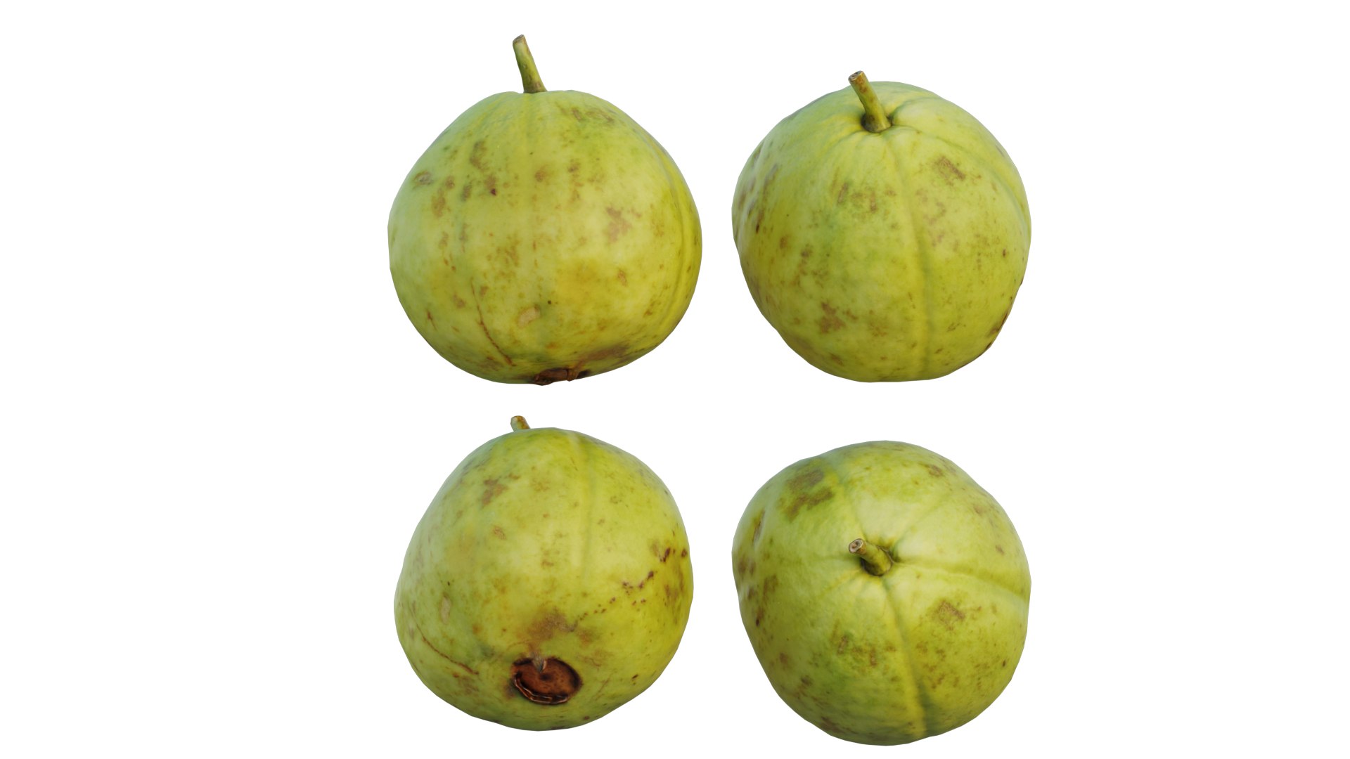 Guava 04 3D Model - TurboSquid 1925532