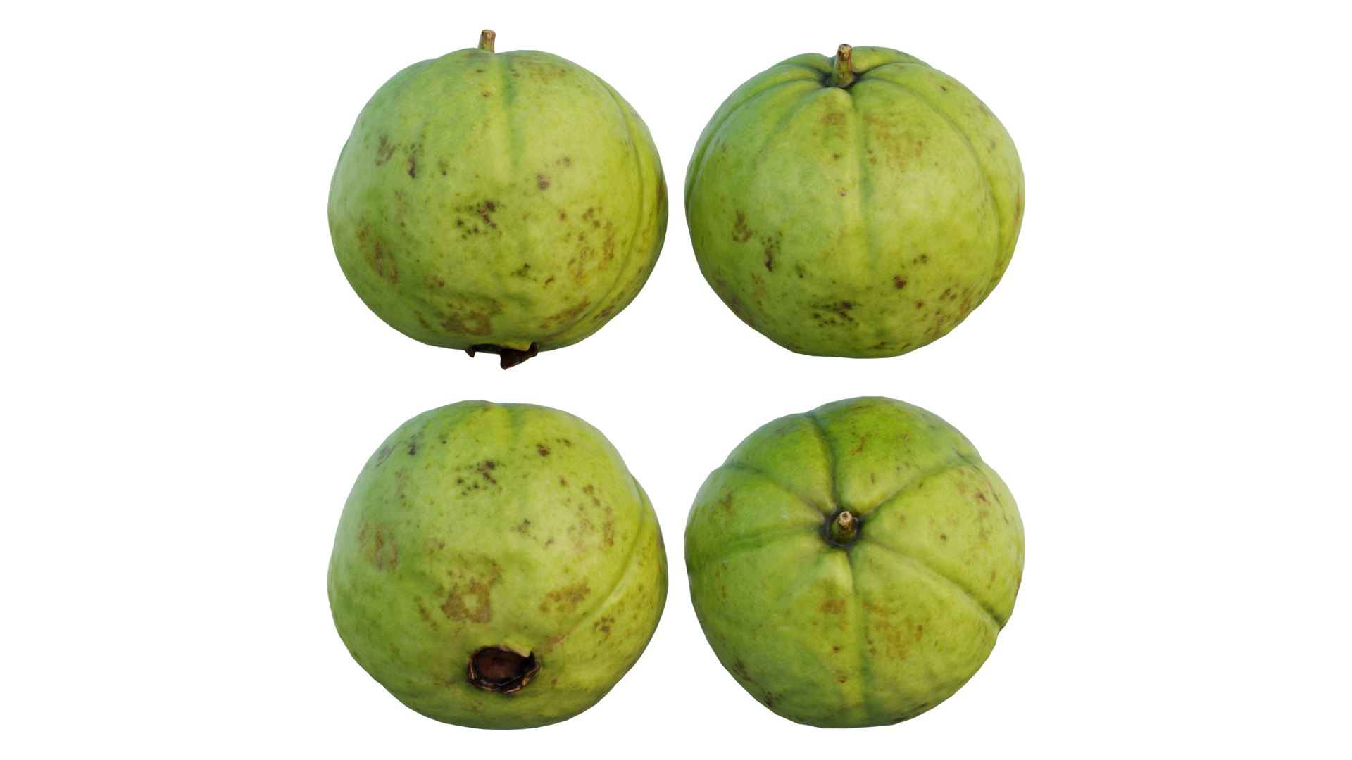 Guava 04 3D Model - TurboSquid 1925532