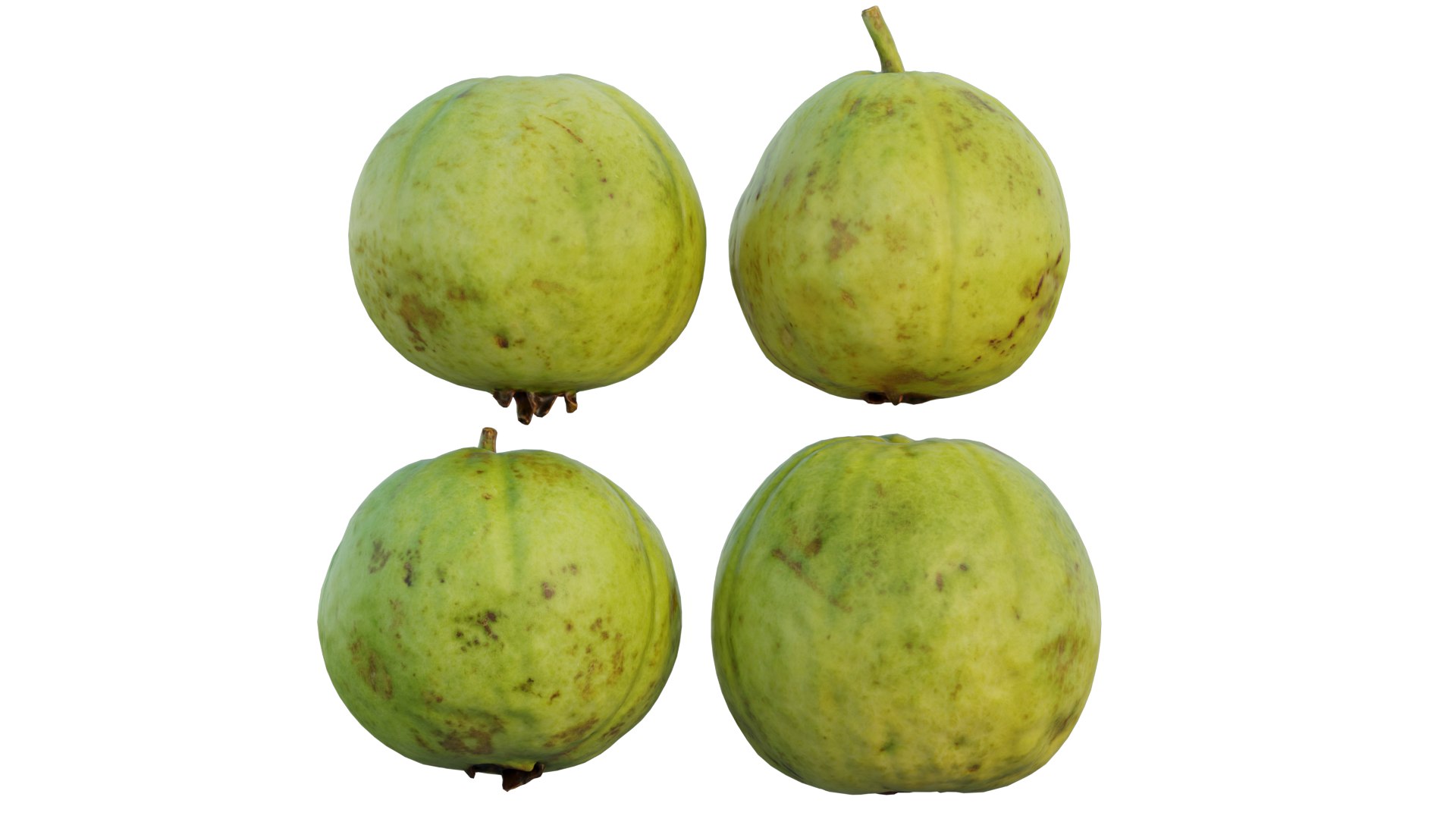 Guava 04 3D Model - TurboSquid 1925532