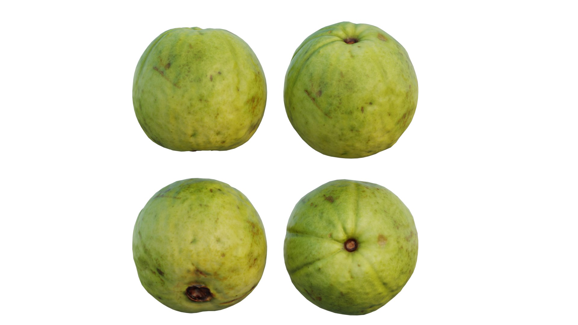 Guava 04 3D Model - TurboSquid 1925532