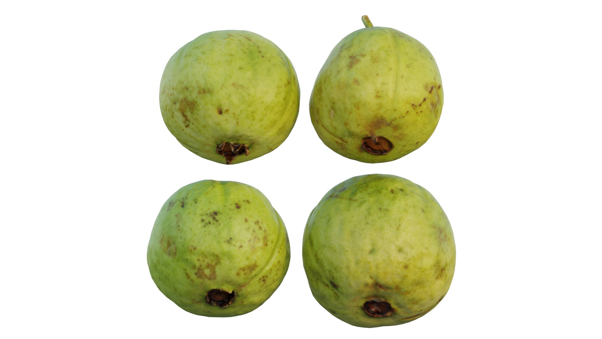 Guava 04 3D Model - TurboSquid 1925532