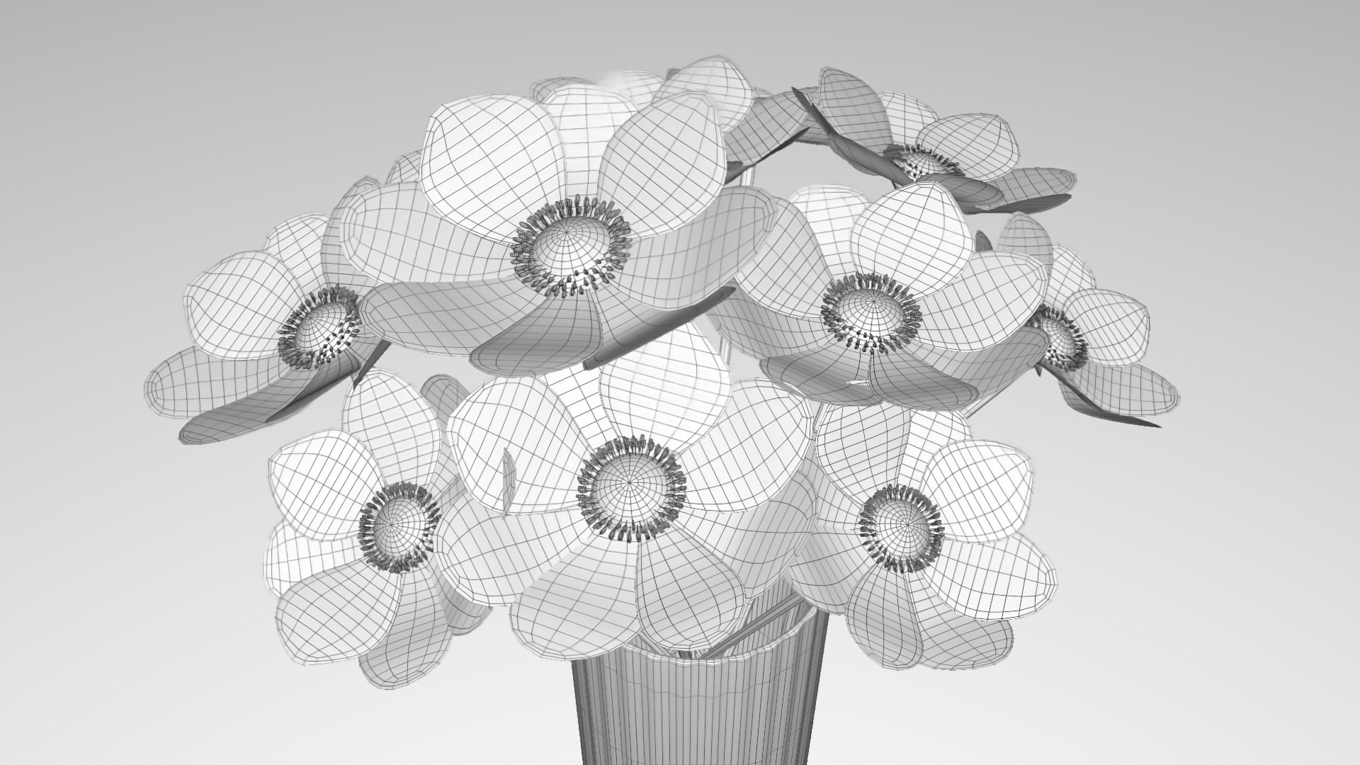 3D Flower Anemone - TurboSquid 1618655