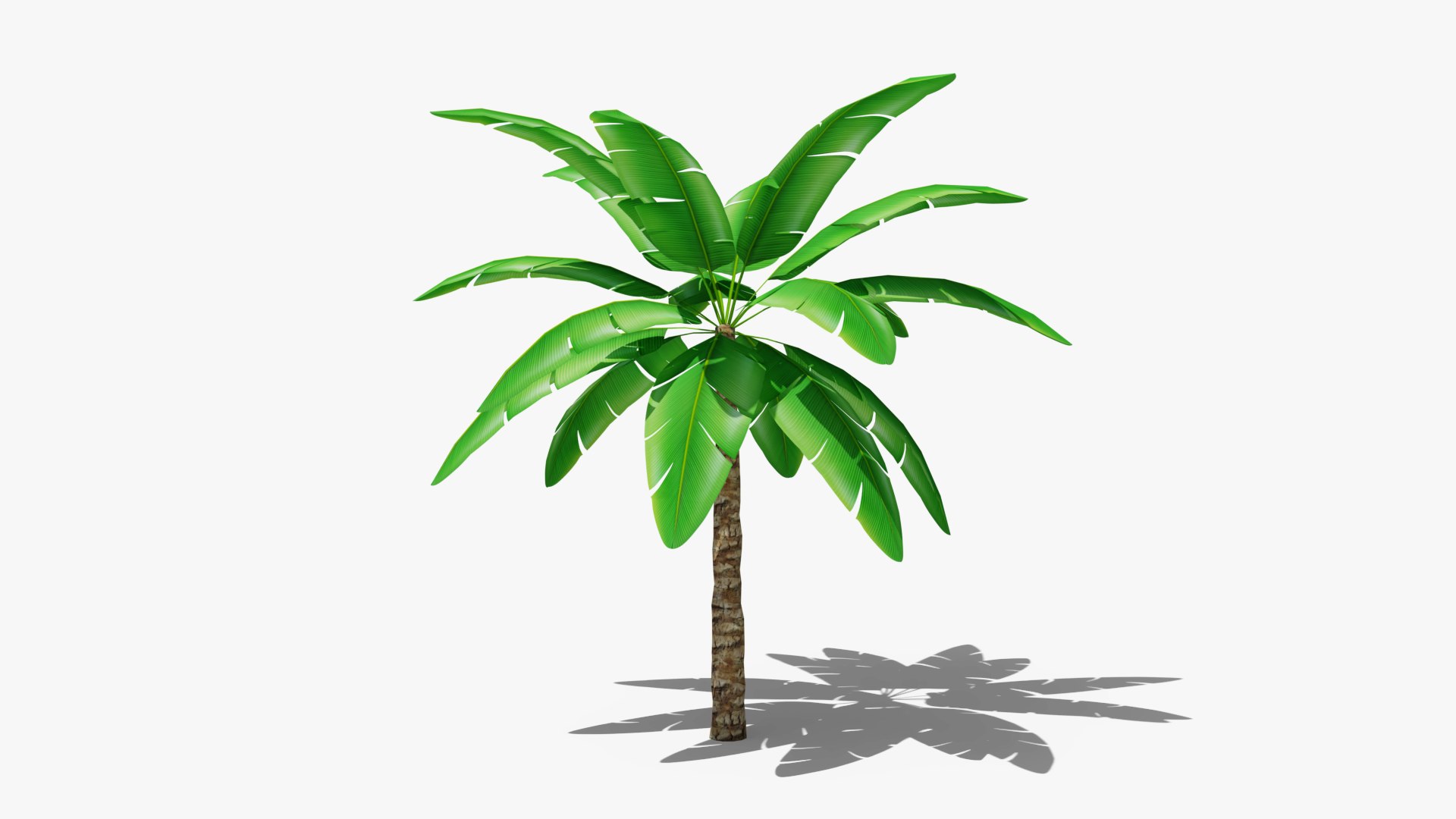 3D Stylized Cartoon Palms Set - TurboSquid 2090072