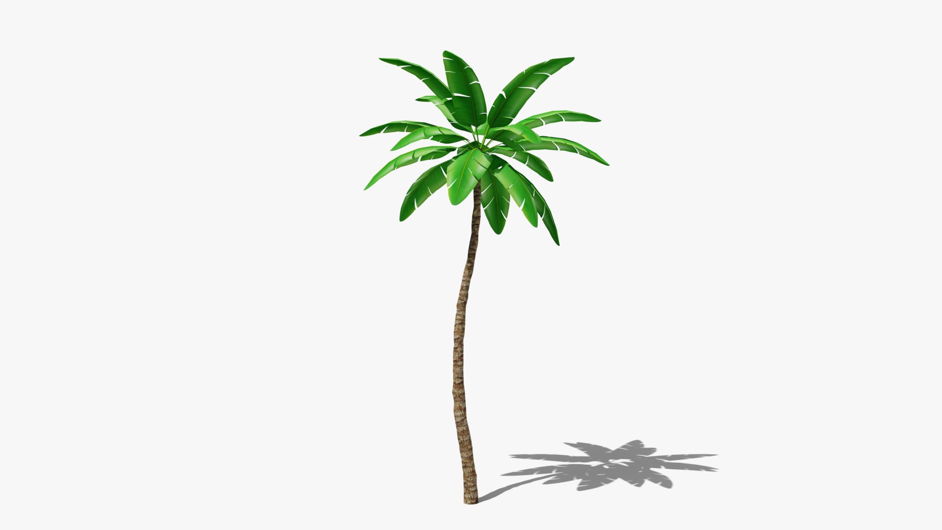 3D Stylized Cartoon Palms Set - TurboSquid 2090072