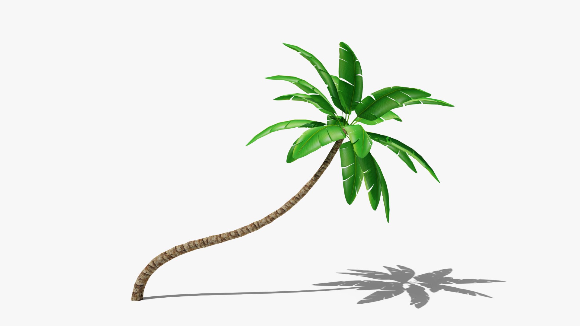 3D Stylized Cartoon Palms Set - TurboSquid 2090072