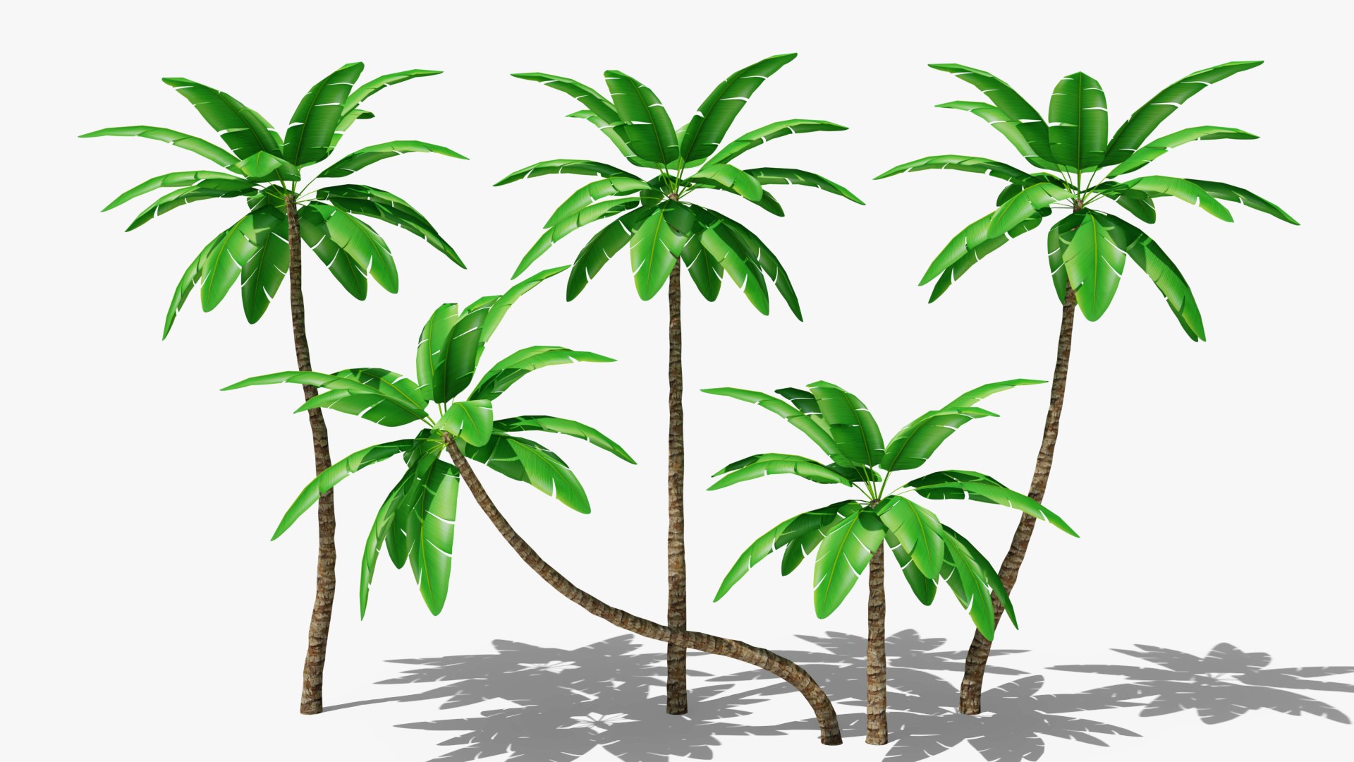3D Stylized Cartoon Palms Set - TurboSquid 2090072