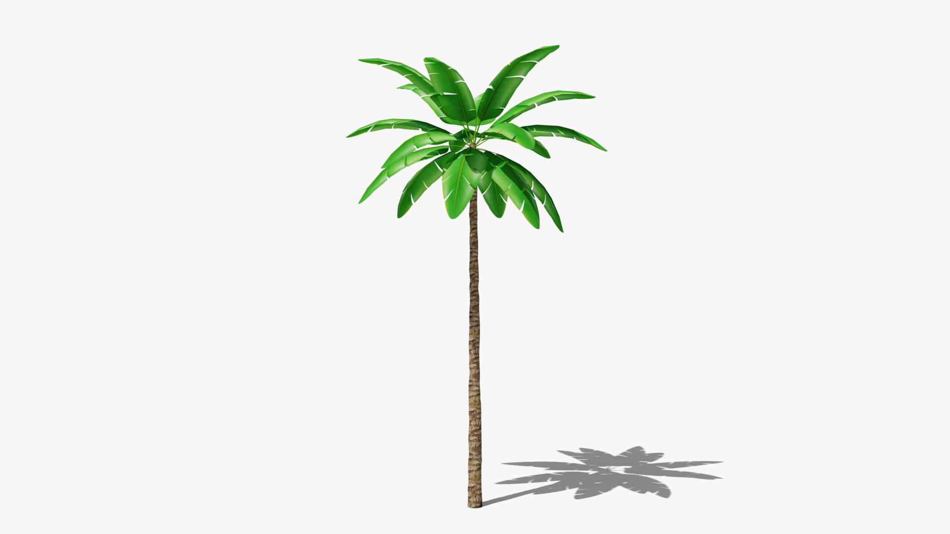 3D Stylized Cartoon Palms Set - TurboSquid 2090072