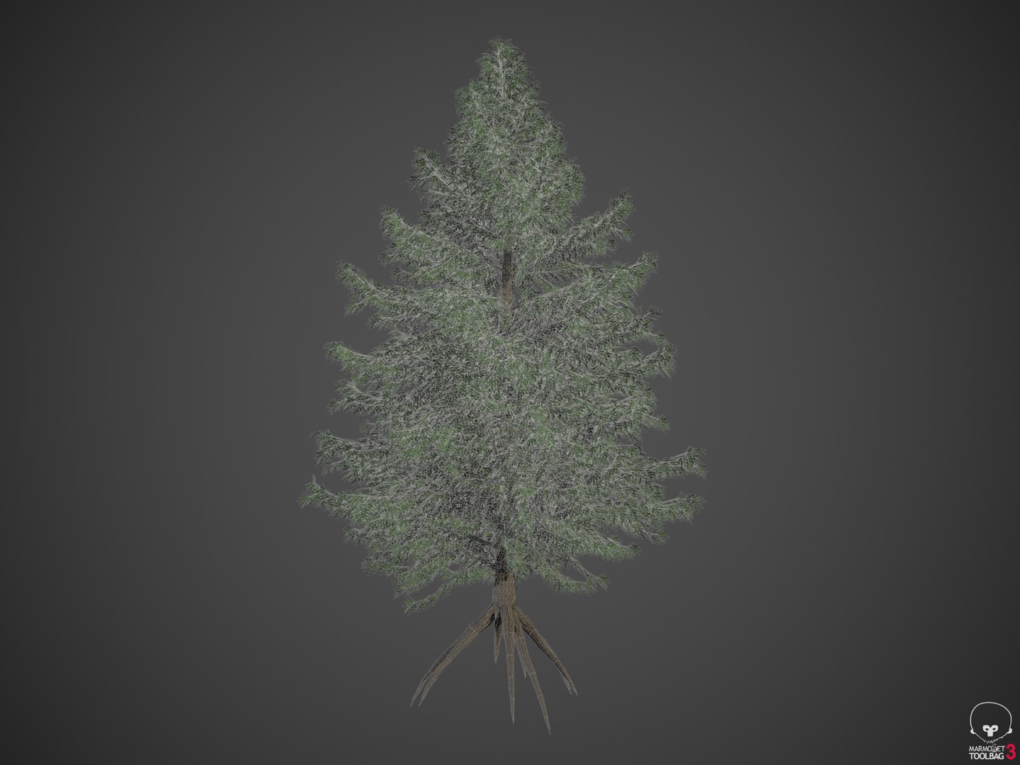 Tree Nature Conifer 3D Model - TurboSquid 1676981