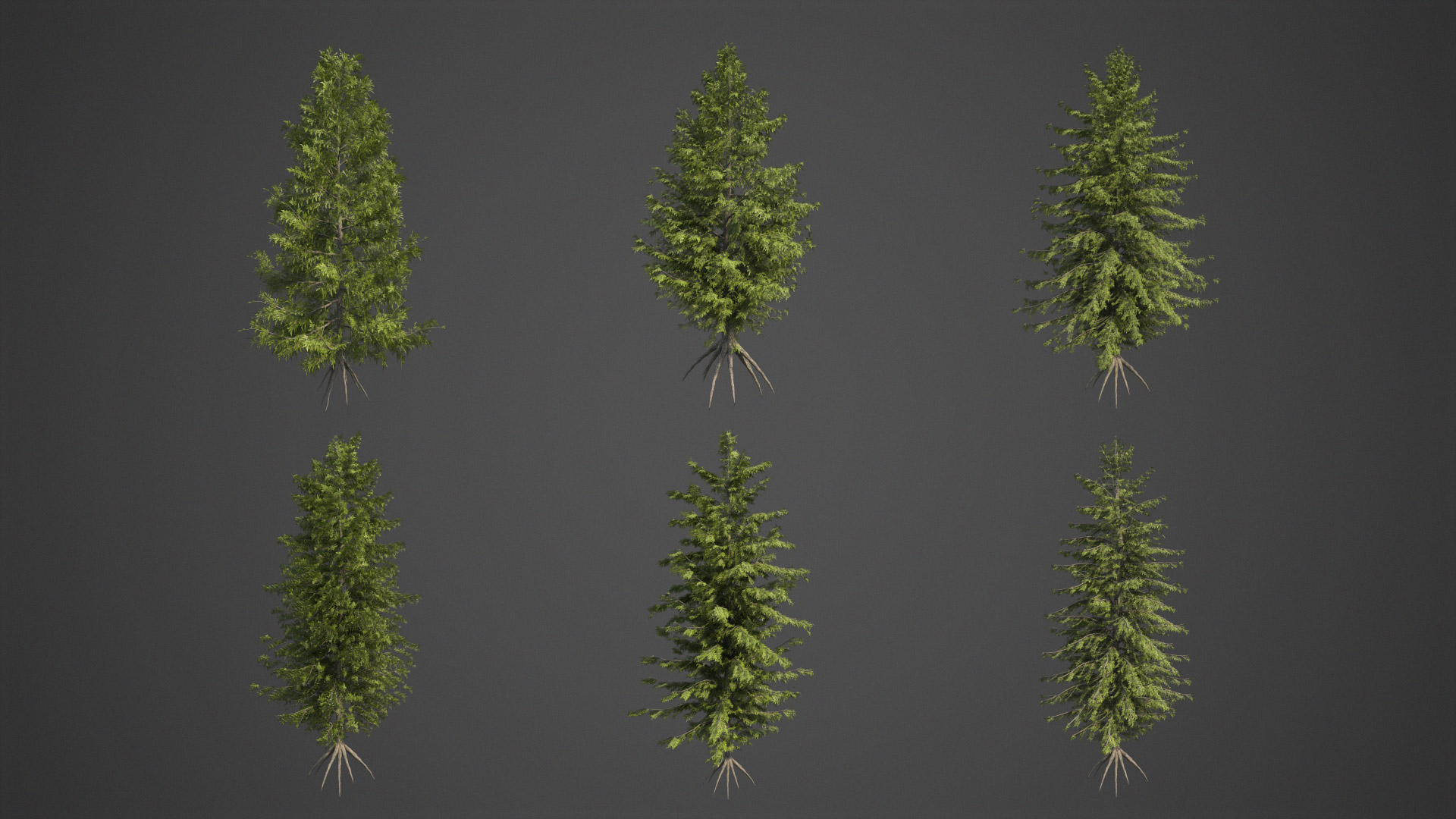 Tree Nature Conifer 3D Model - TurboSquid 1676981