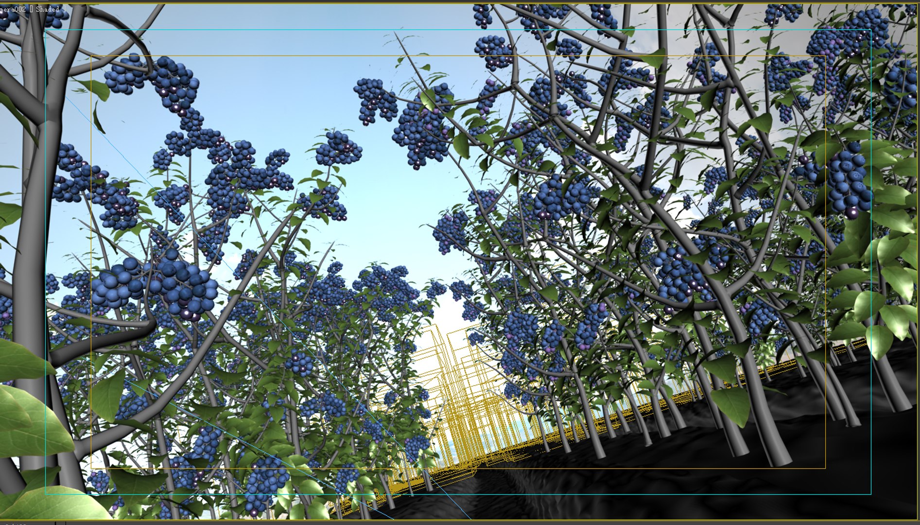 Blueberry Field 3d Max
