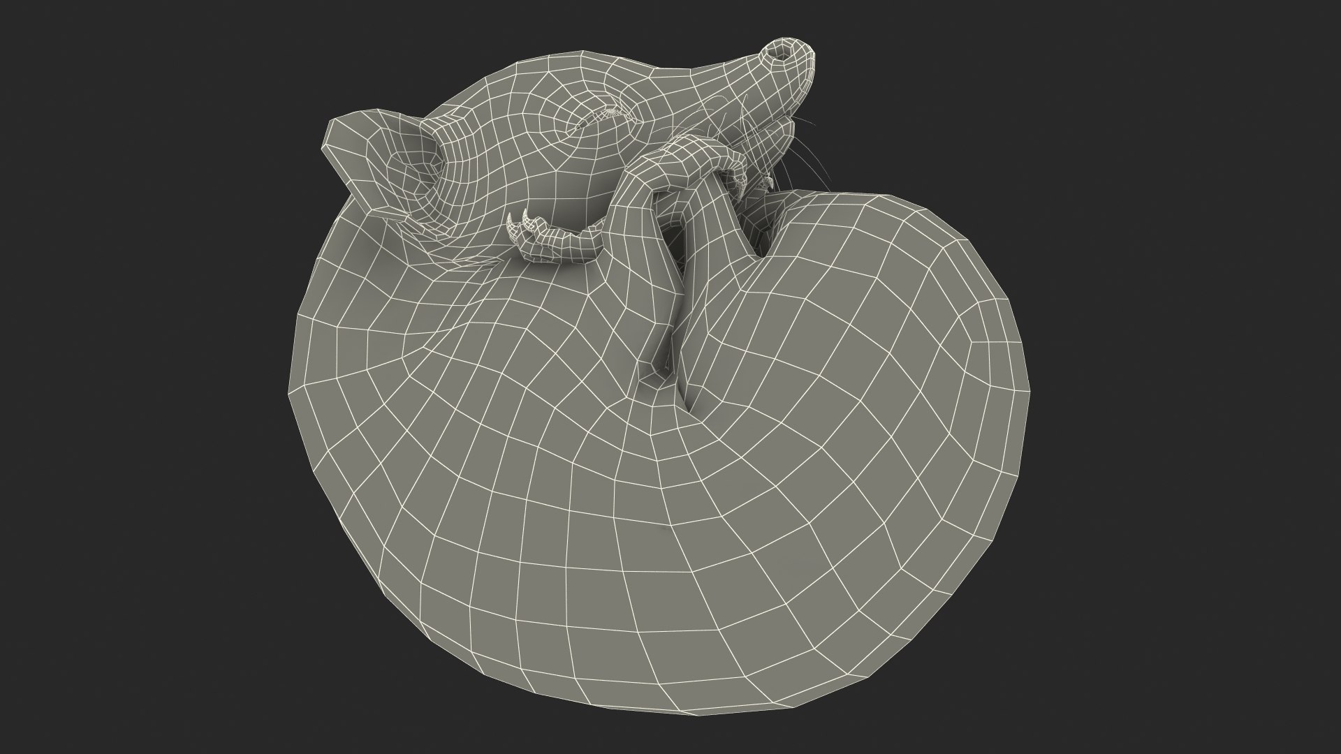 3D Curled Up Bald Hedgehog - TurboSquid 2070446