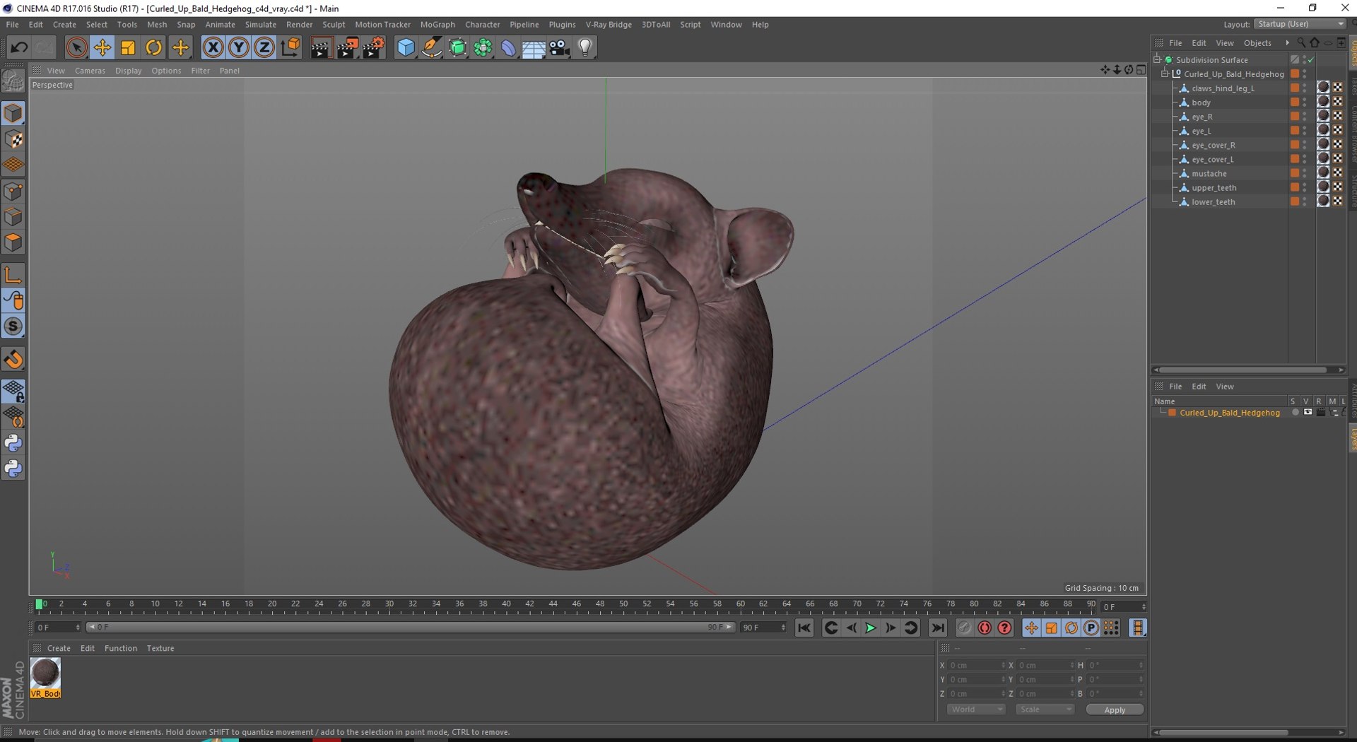 3D Curled Up Bald Hedgehog - TurboSquid 2070446