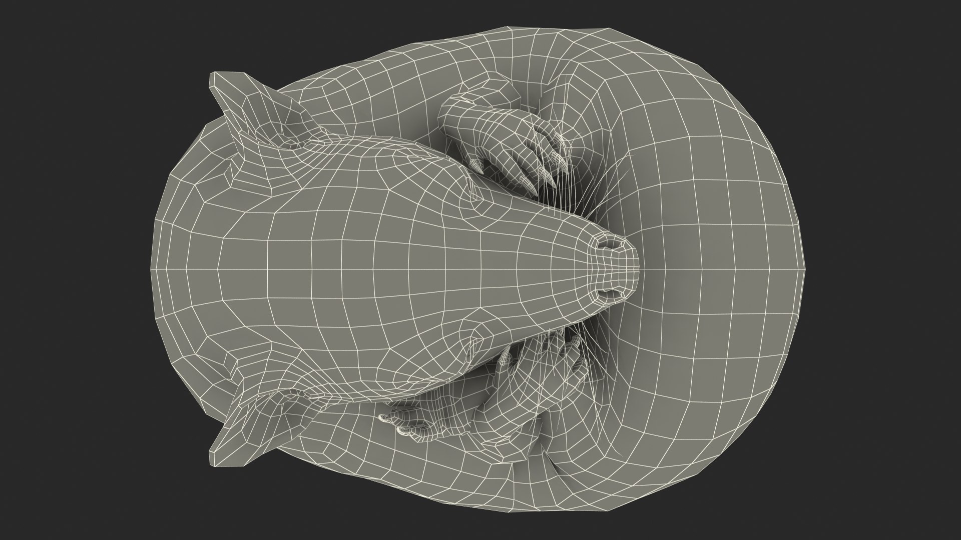 3D Curled Up Bald Hedgehog - TurboSquid 2070446
