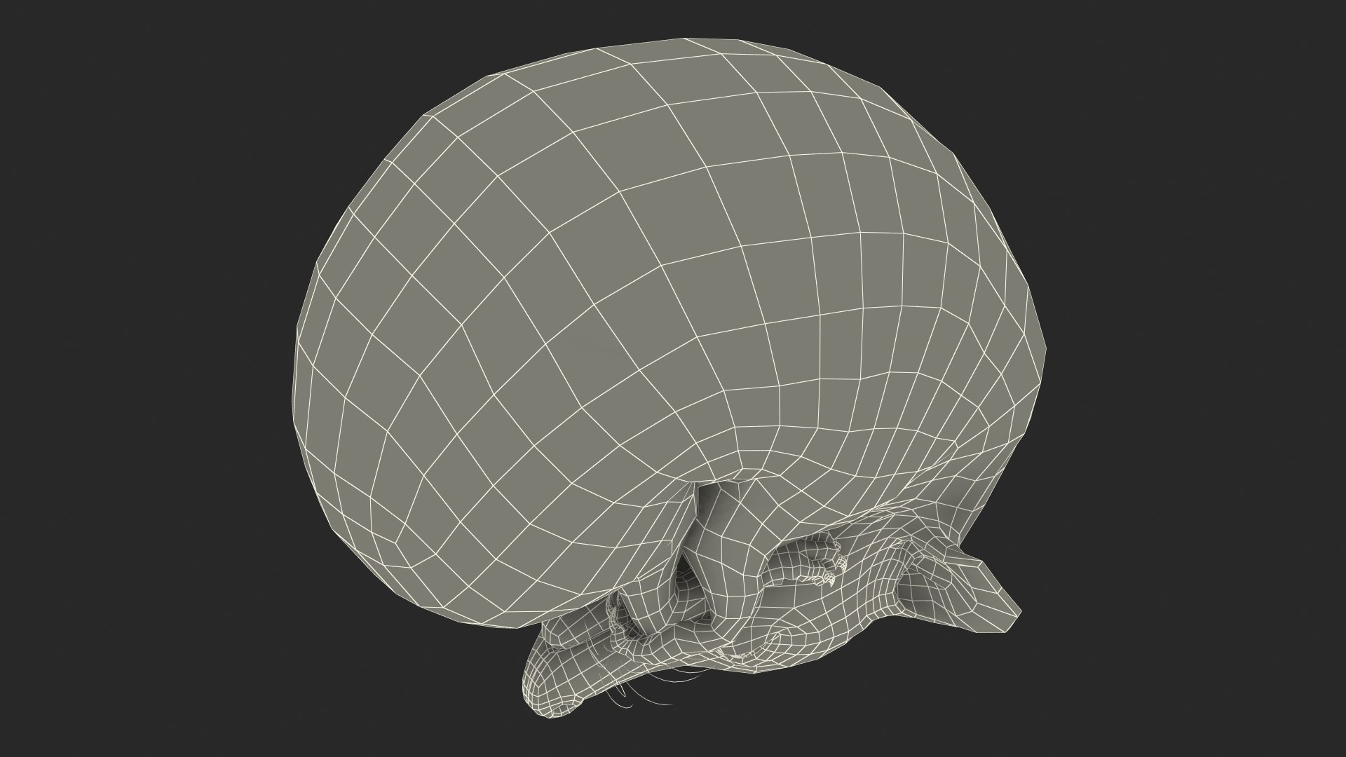 3D Curled Up Bald Hedgehog - TurboSquid 2070446