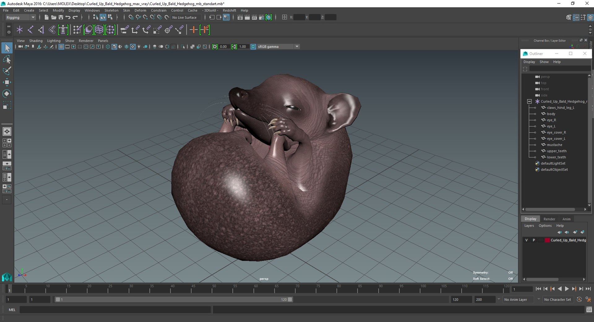 3D Curled Up Bald Hedgehog - TurboSquid 2070446