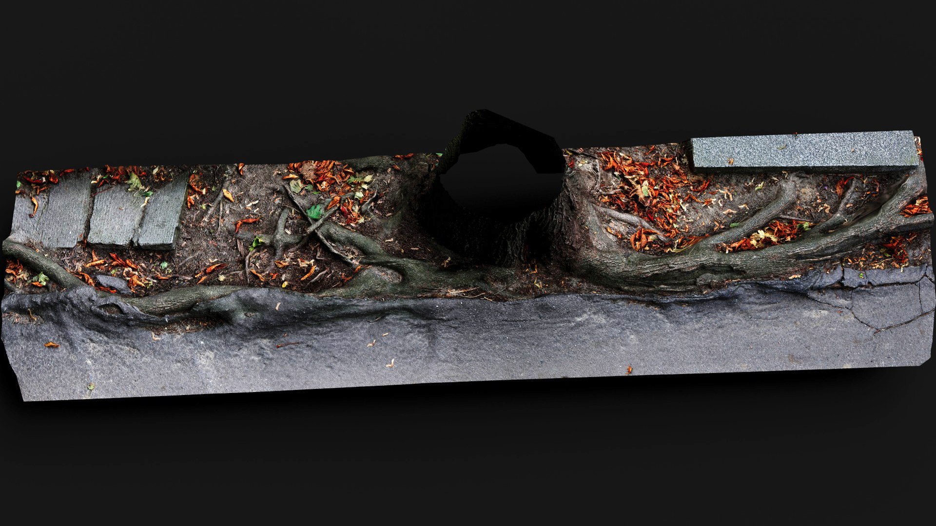 Road Edge Damaged Tree Roots PBR Photogrammetry Model - TurboSquid 2496775