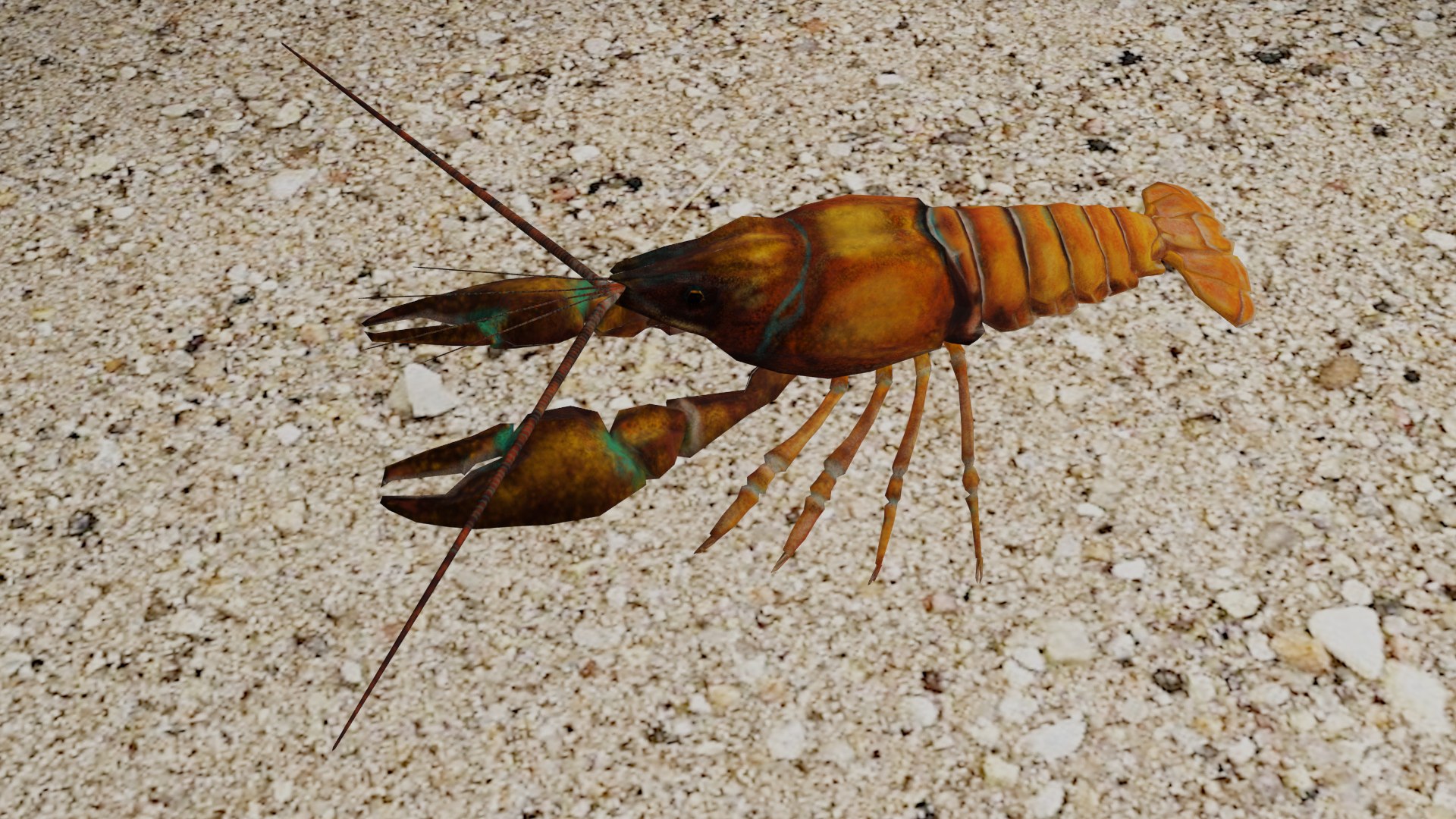 Crayfish fish 3D - TurboSquid 1311009