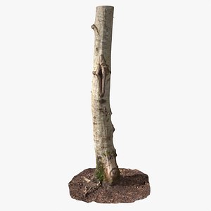 Free 3D Tree Trunk Models - Available For Download On TurboSquid
