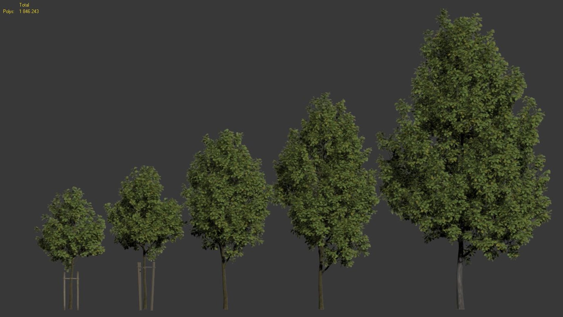 Oak Trees 3D Model - TurboSquid 1656144