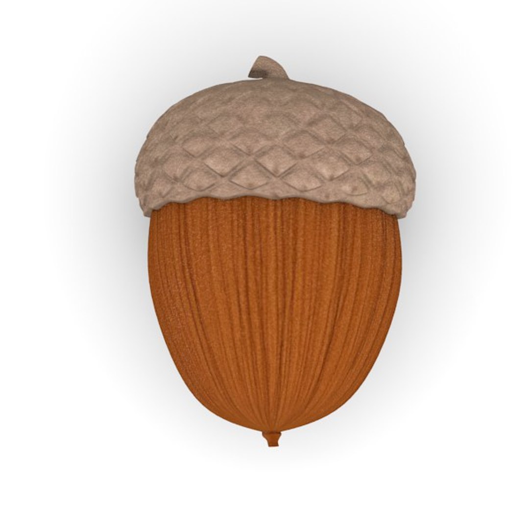 3ds Max Acorn
