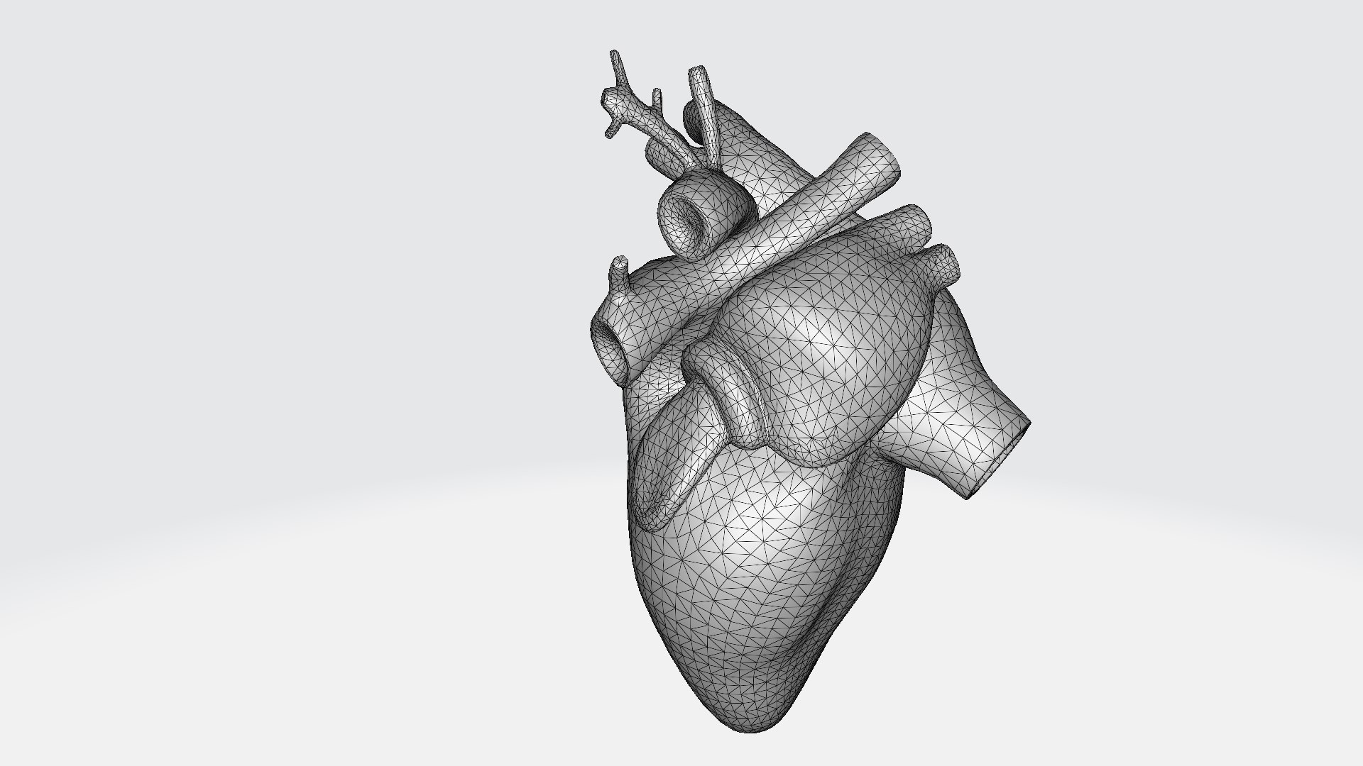 Human Heart 3D Model - TurboSquid 2296146