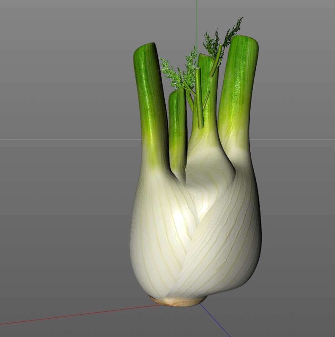 3D Fennel Model - TurboSquid 1544492