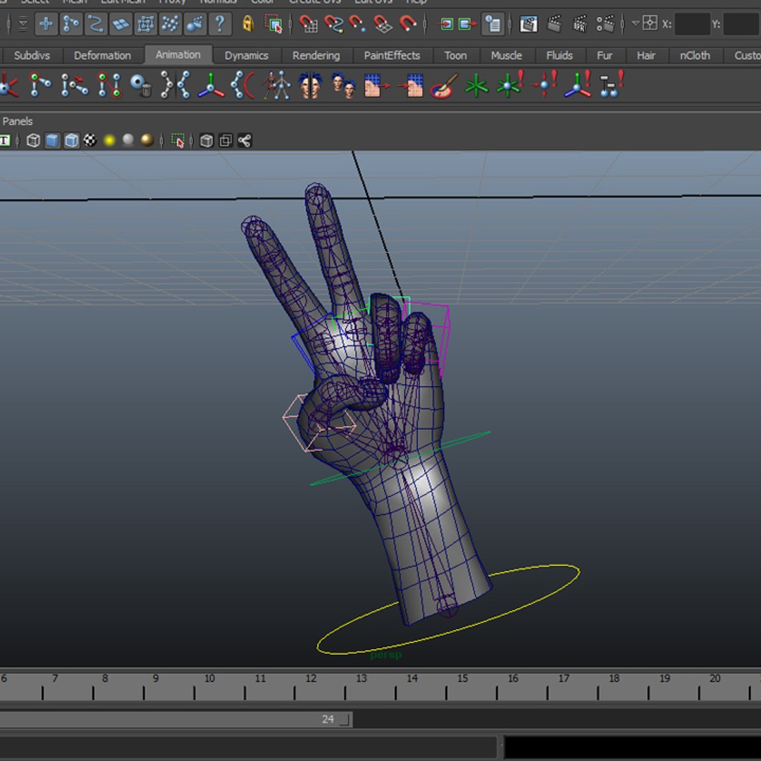 Hand Rig Ma