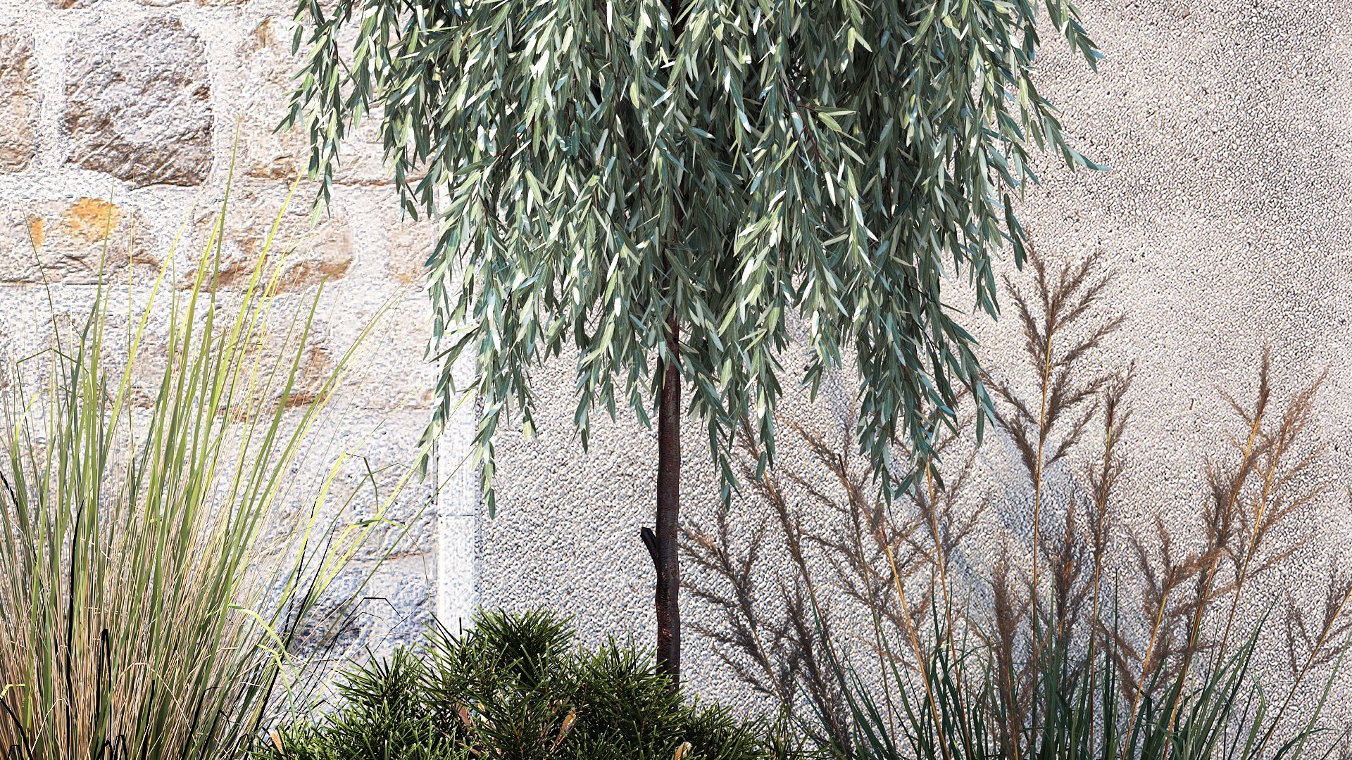 3D Garden with trees thuja pine bushes olive feather grass grass 1390 ...