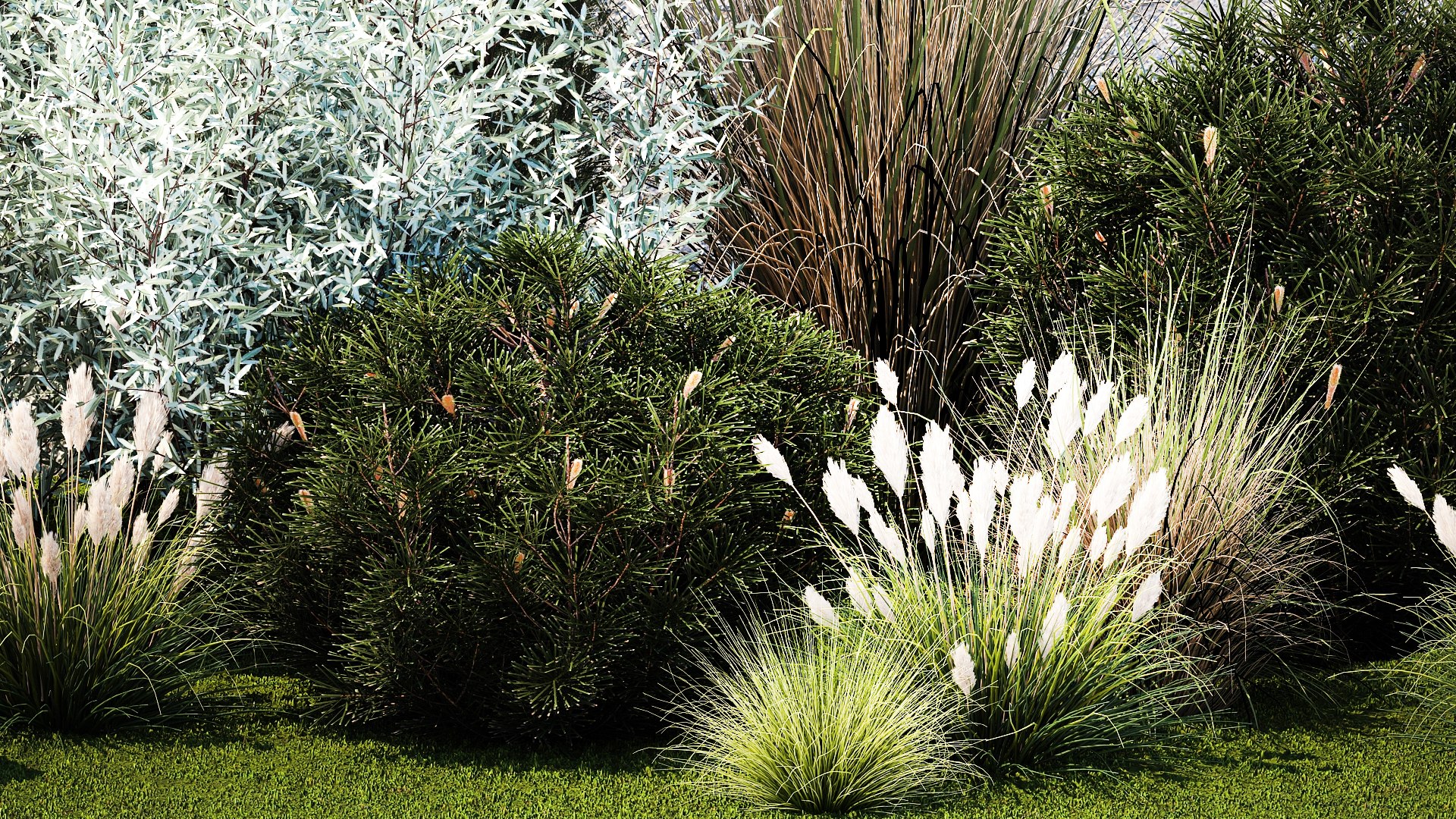 3D Garden with trees thuja pine bushes olive feather grass grass 1390 ...