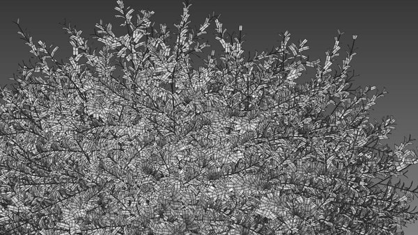 Miss Lemon 3D model - TurboSquid 1791615