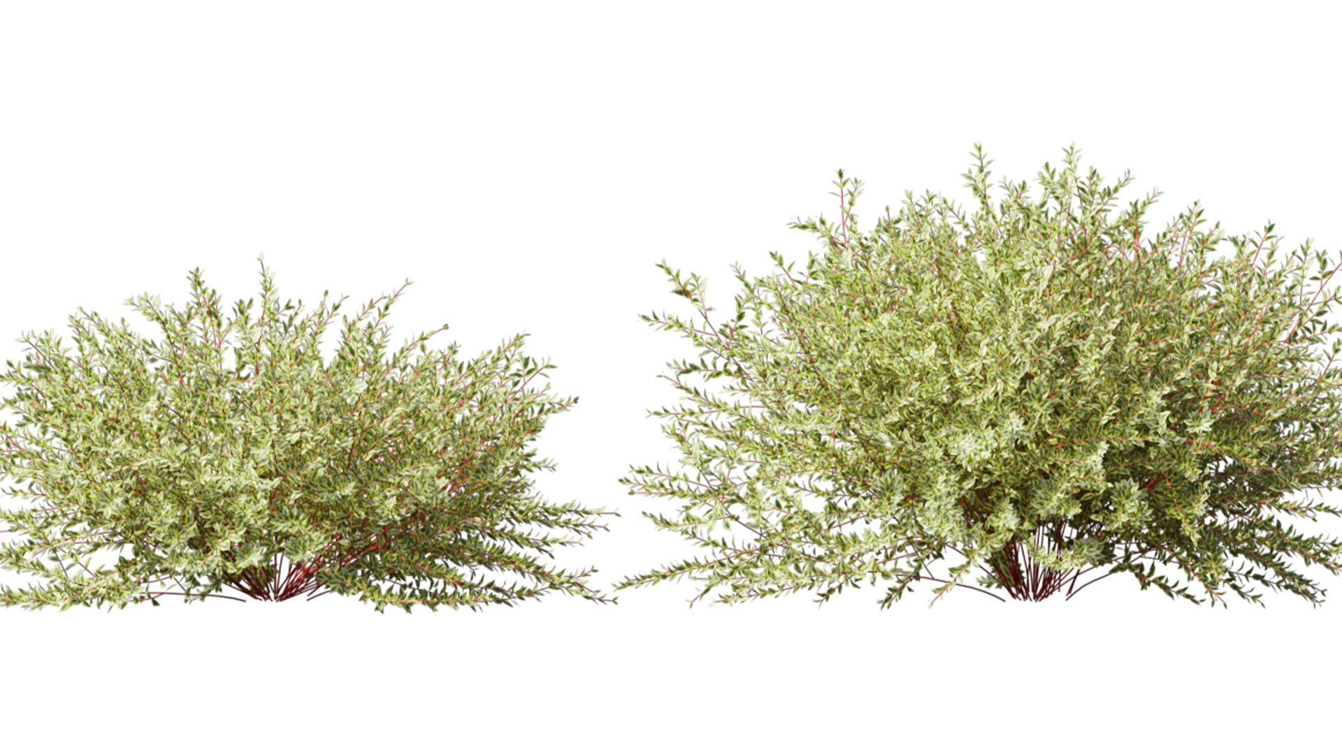 Miss Lemon 3D model - TurboSquid 1791615