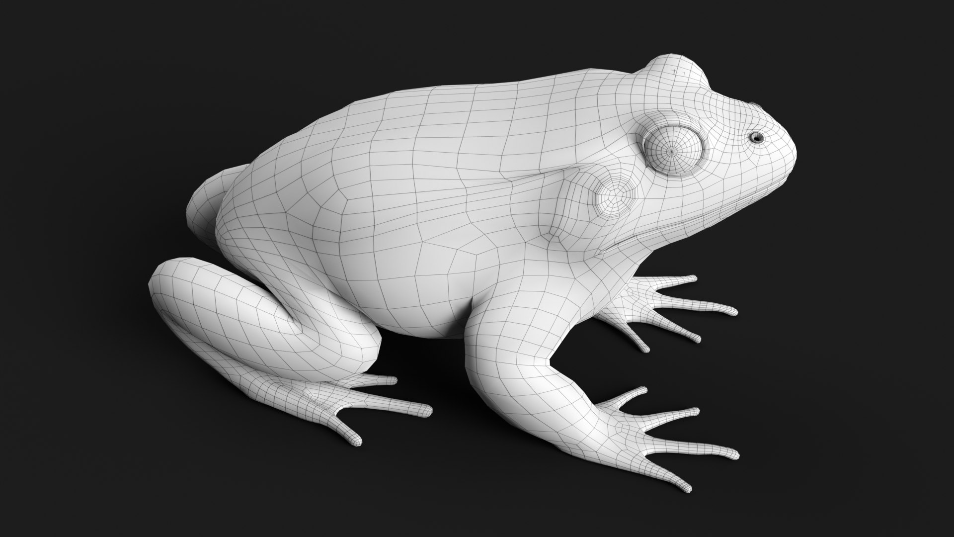 Toad Animated Model - TurboSquid 2187290