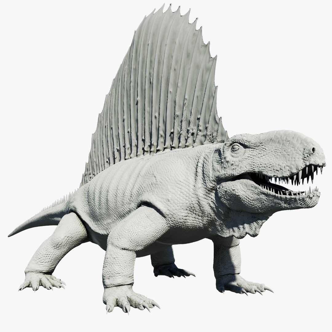 Dimetrodon Reptile Max
