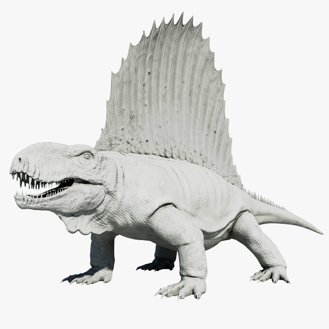 dimetrodon reptile max