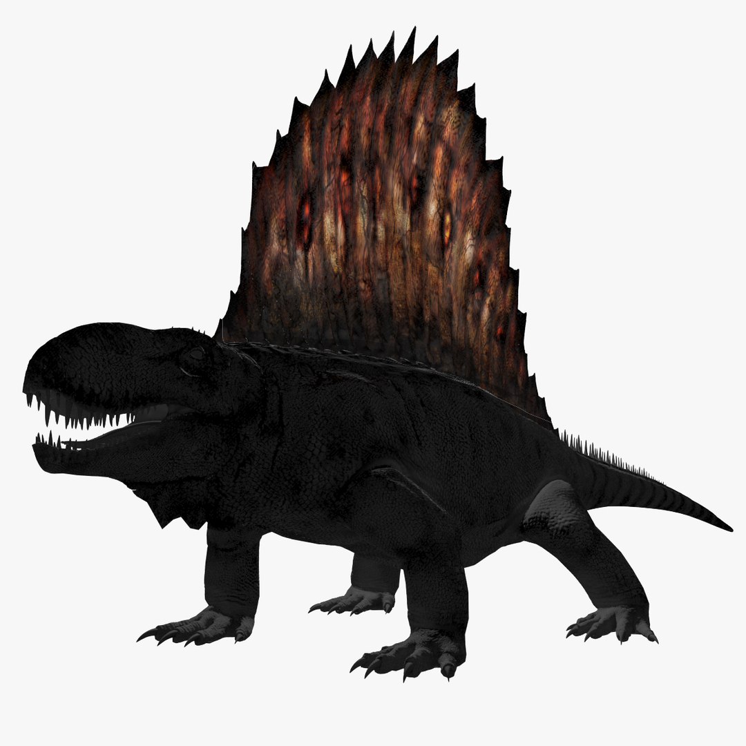 Dimetrodon Reptile Max
