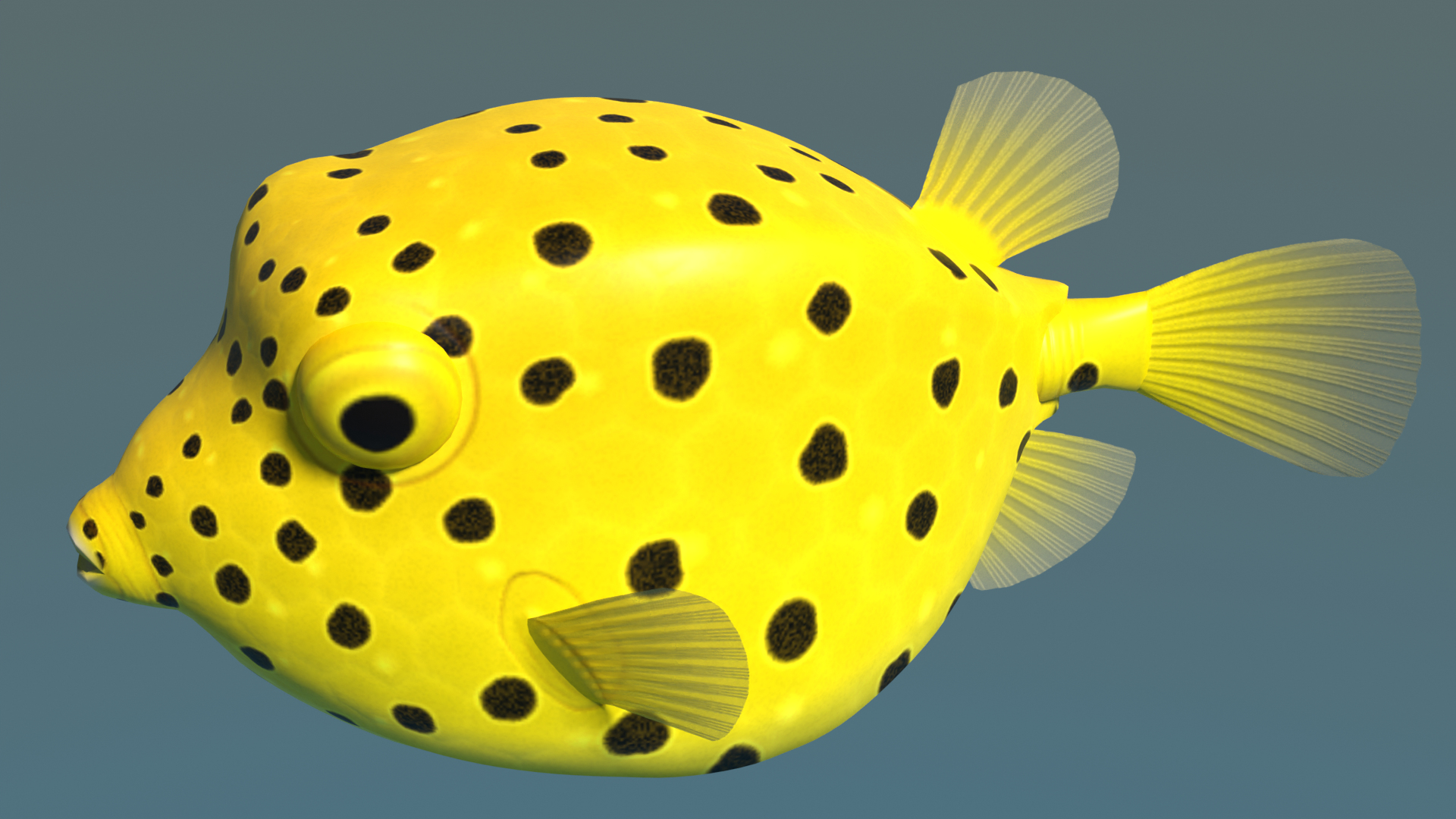 yellow boxfish 3d 3ds