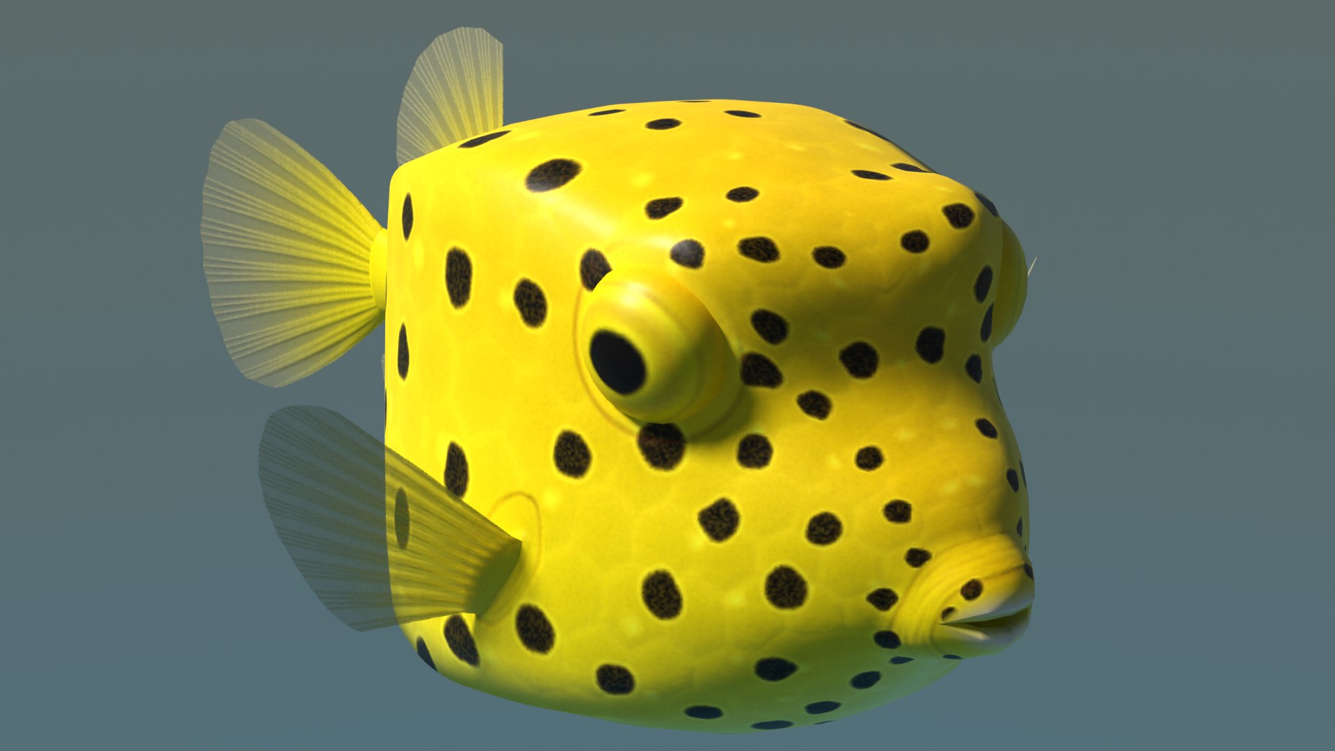 Yellow Boxfish 3d 3ds