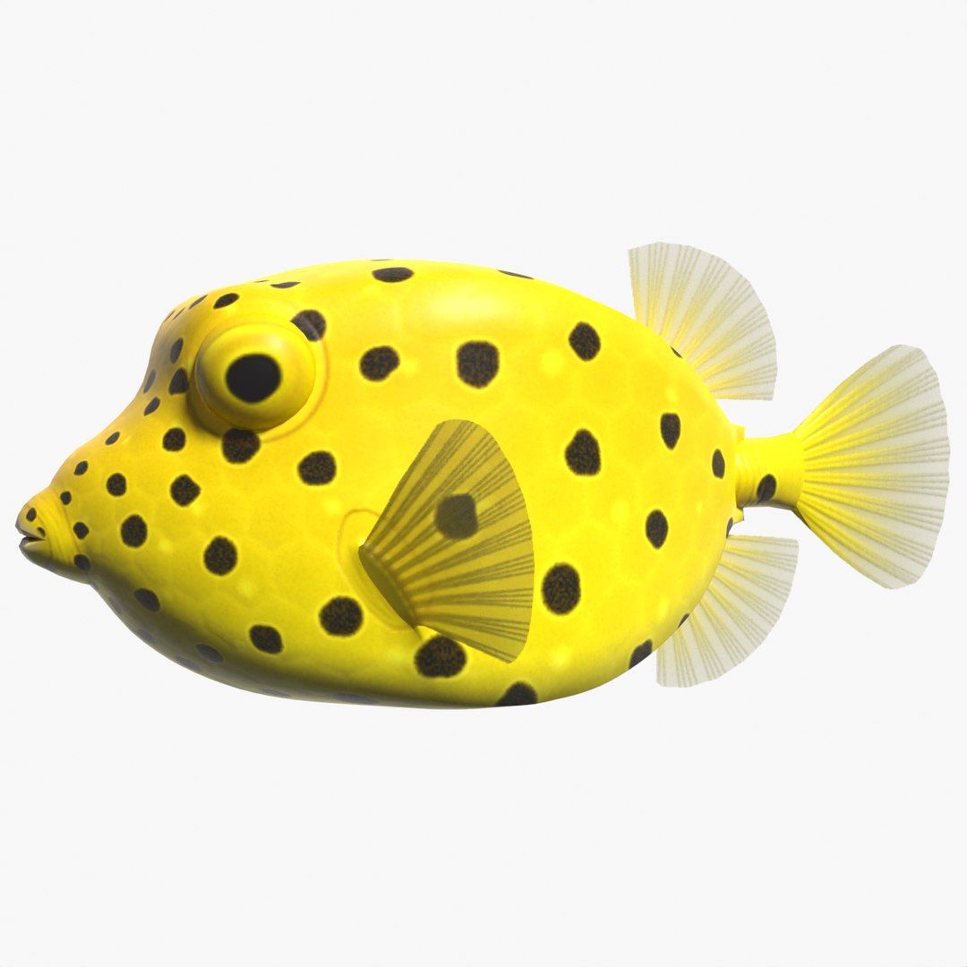 Yellow Boxfish 3d 3ds