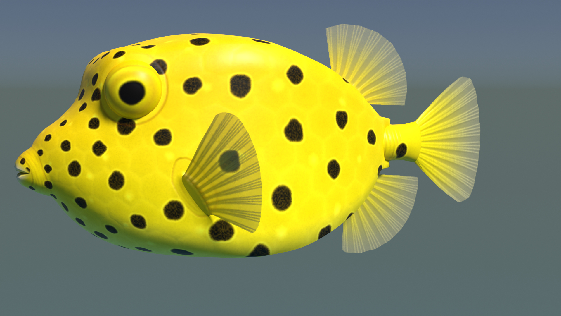 Yellow Boxfish 3d 3ds
