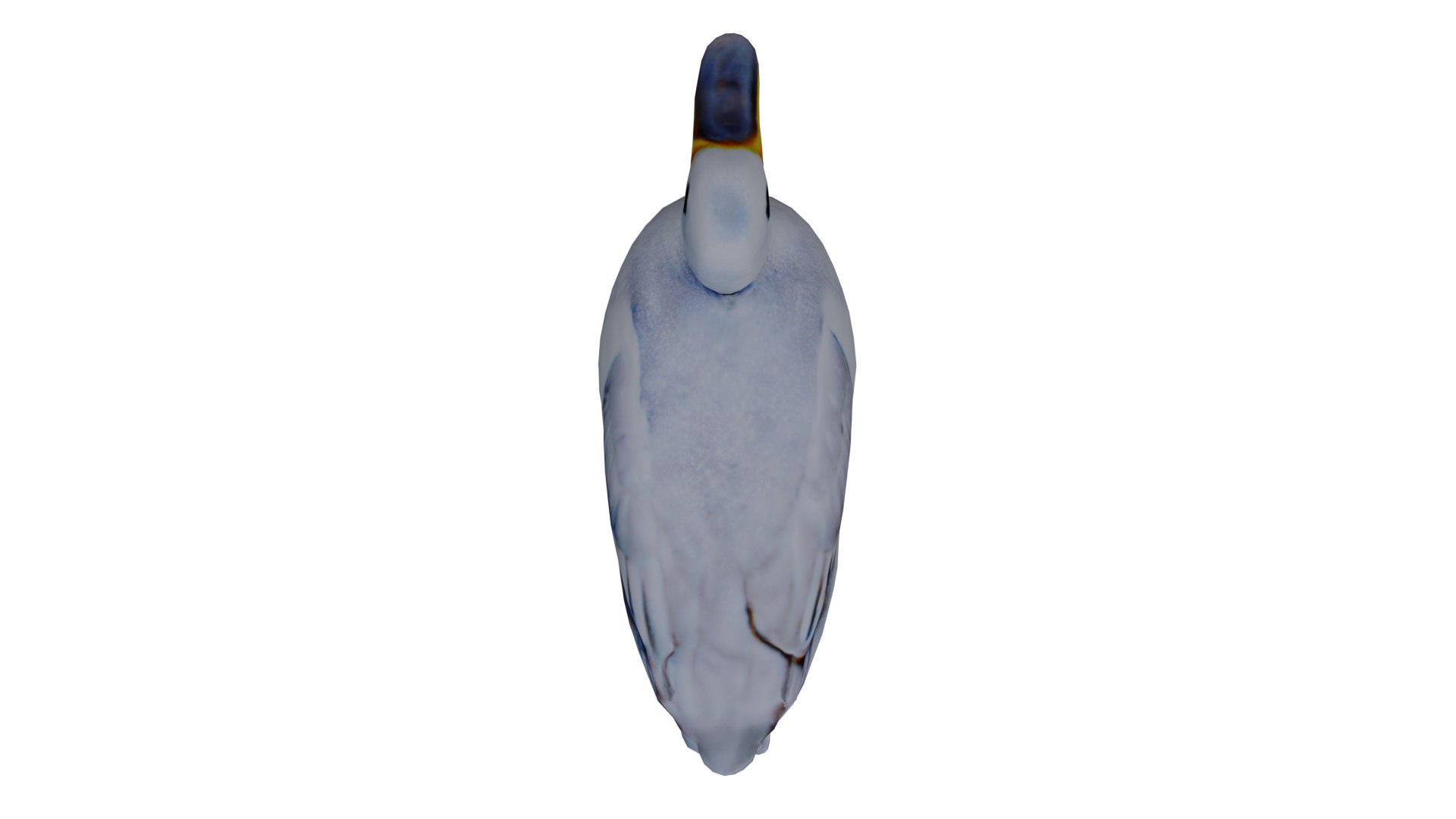 Duck White Low Poly 3D - TurboSquid 2262007