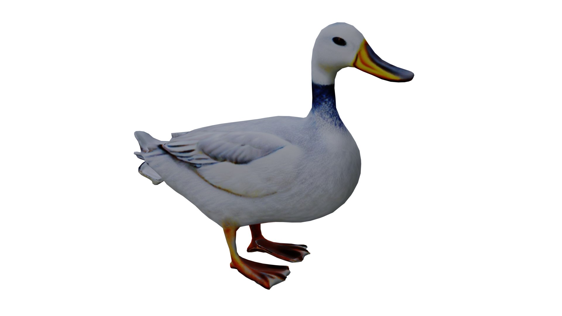 Duck White Low Poly 3D - TurboSquid 2262007