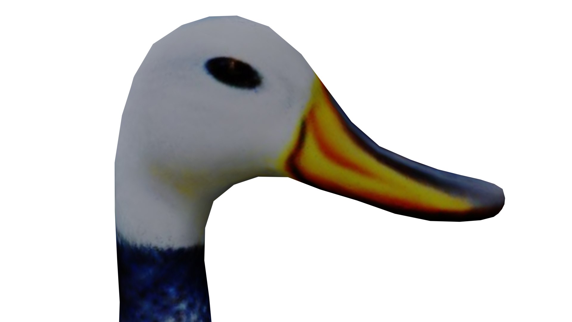 Duck White Low Poly 3D - TurboSquid 2262007