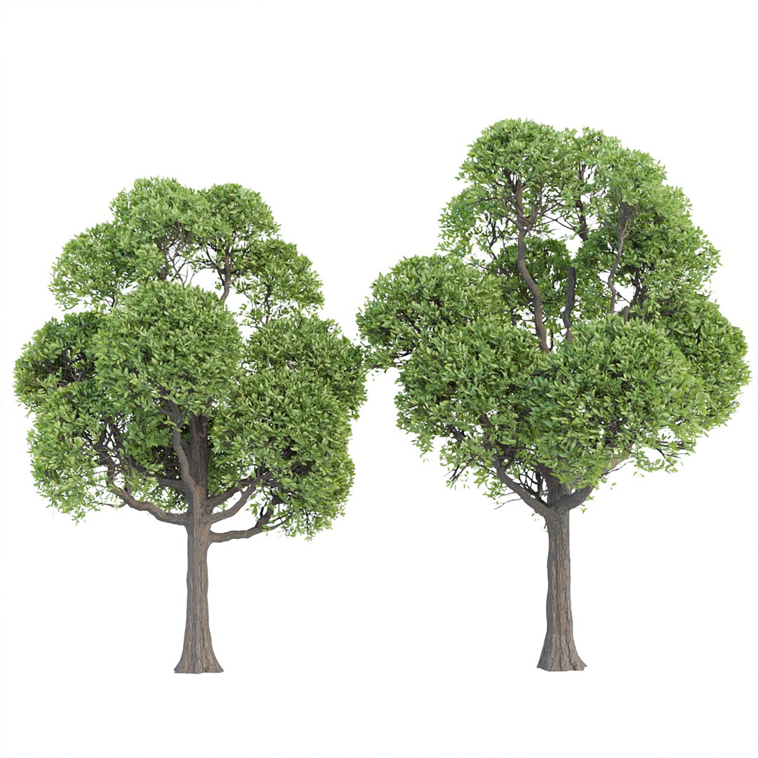 3D Model Outdoor Trees Collection Vol 93 - TurboSquid 1964515